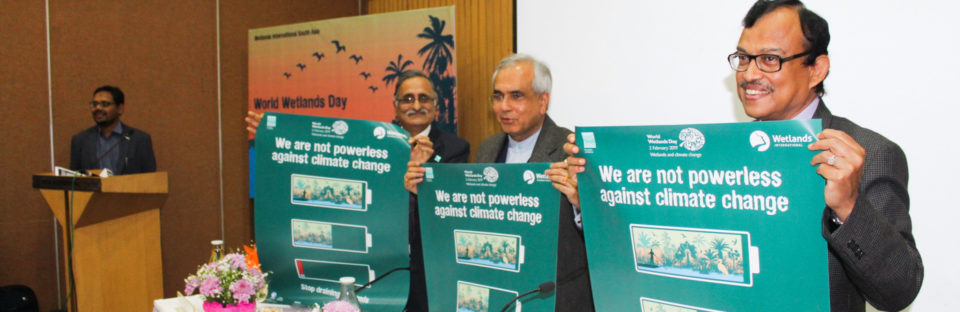 World Wetlands Day 2019: Let's make wetland conservation a popular ...