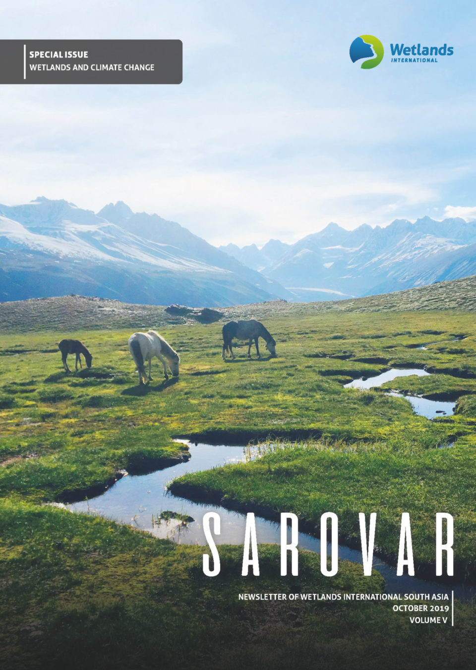 Special Issue of our newsletter "Sarovar" released - Wetlands ...