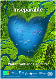 Join us to Celebrate World Wetlands Day 2021 - Wetlands International ...