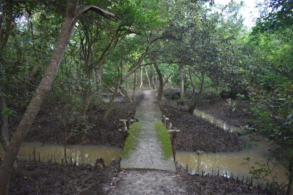 South Asia Regional Training Workshop on Wetlands and Water - Wetlands ...