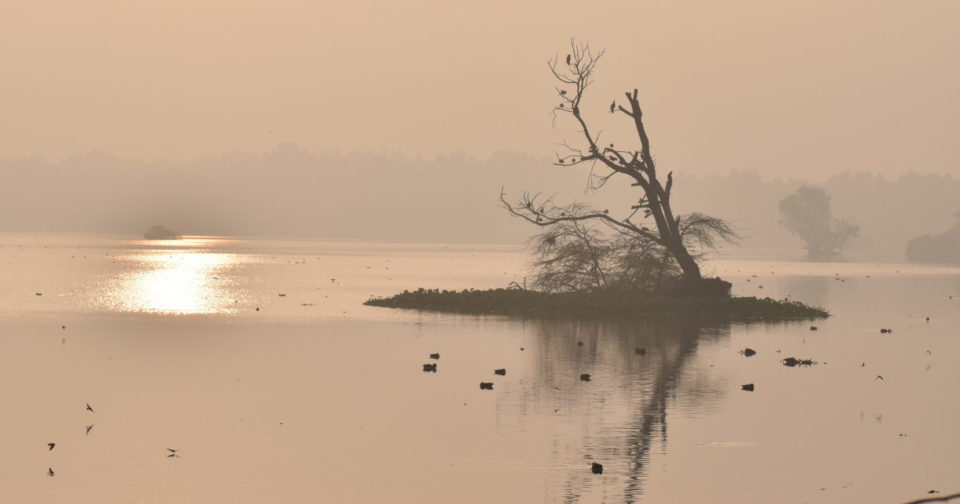 Assessment of Ottu Lake as a potential Ramsar site in Sirsa, Haryana ...