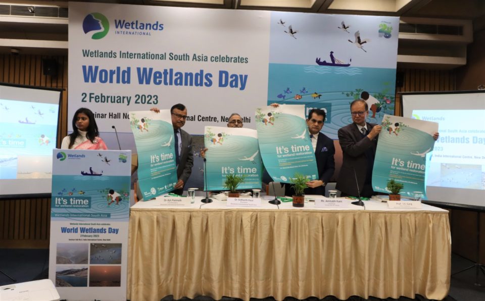 Making wetland restoration a social movement - Wetlands International ...