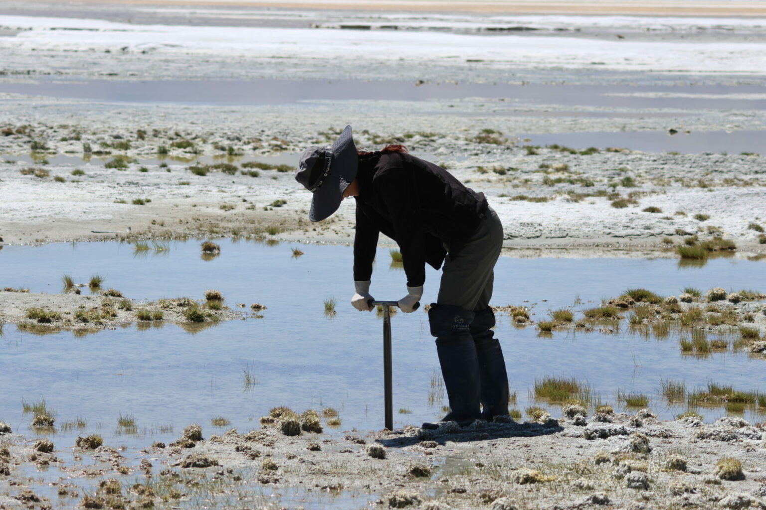 Peatland Expedition and Framework Management Plan Discussions for ...