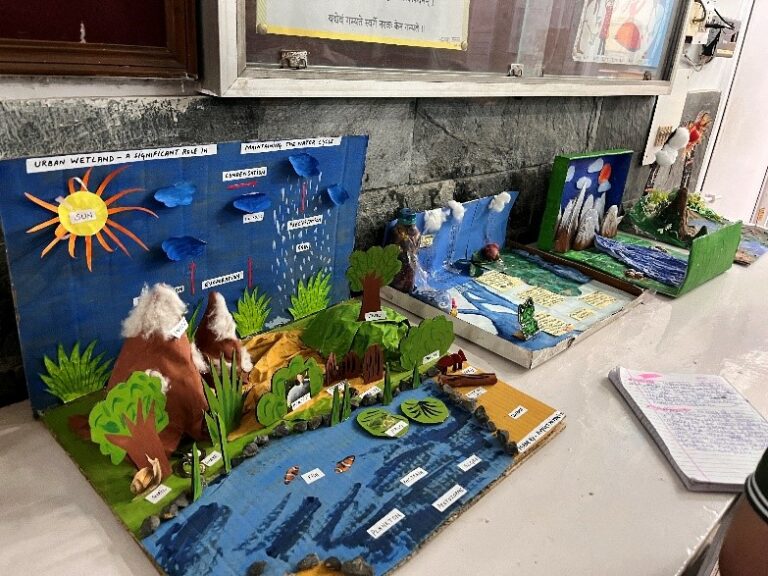 Innovative 3D Model-Making Competition Highlights the Role of Wetlands ...