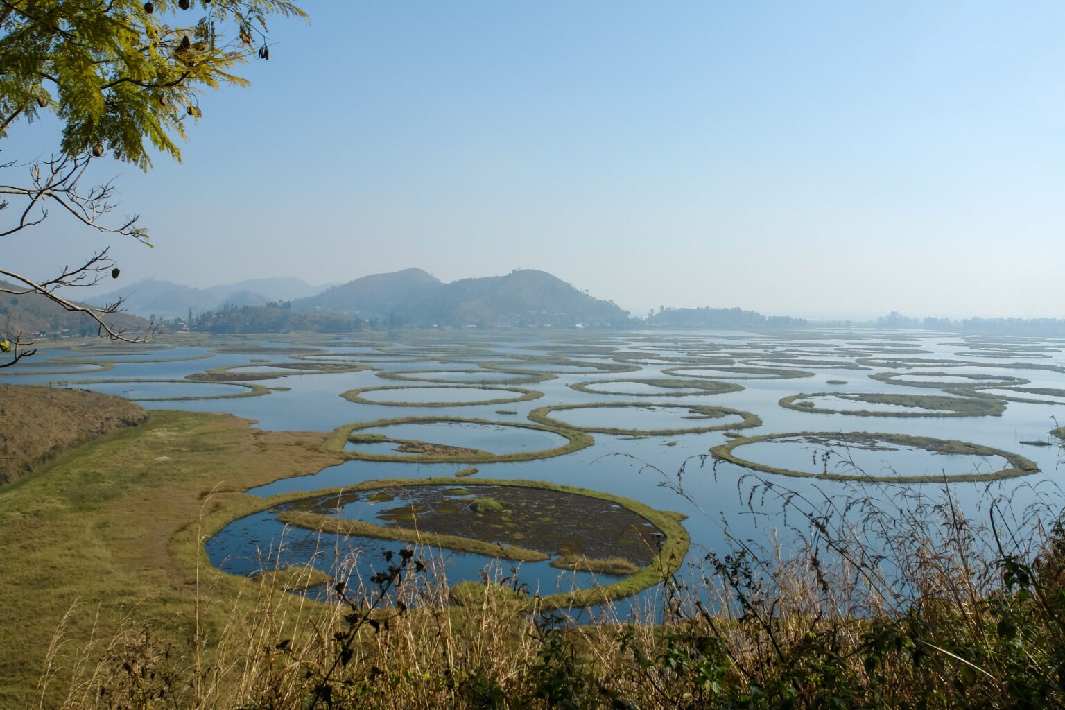 Home - Wetlands International South Asia